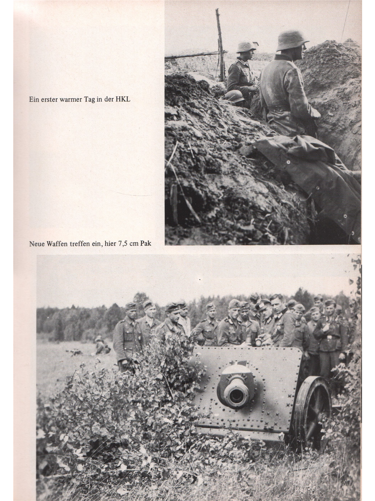 Die 78. Infanterie- und Sturm-Division 1938-1945 - 20th Century House