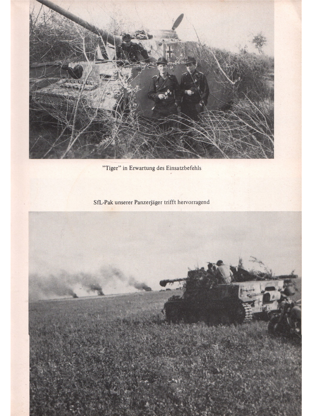Die 78. Infanterie- und Sturm-Division 1938-1945 - 20th Century House